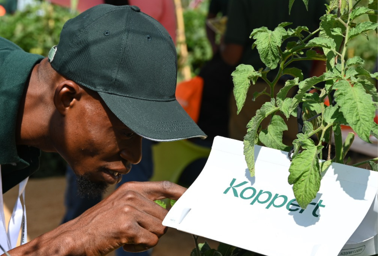 The five main benefits of Integrated Pest Management | Koppert Kenya