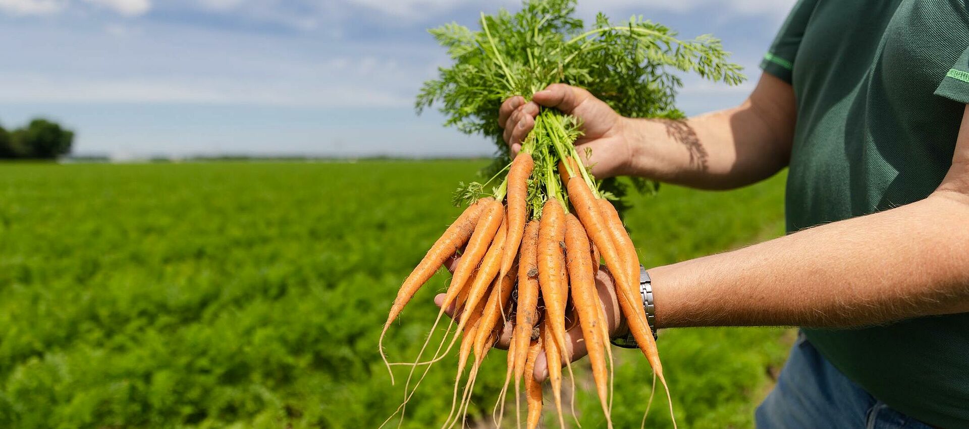 Grower Koen - Embracing biological crop protection in agriculture