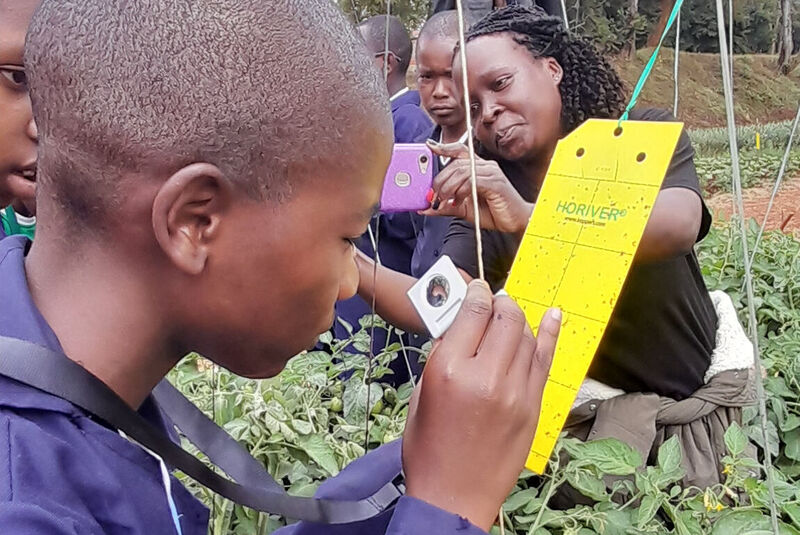 Nurturing Young Minds: Koppert's Partnership with 4K Clubs in Kenya | Koppert Kenya